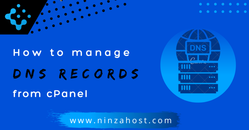 How to manage DNS Records from cPanel? - NinzaHost